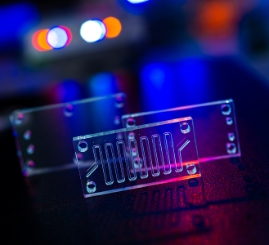 How to Optimize Bonding of PDMS to a Substrate